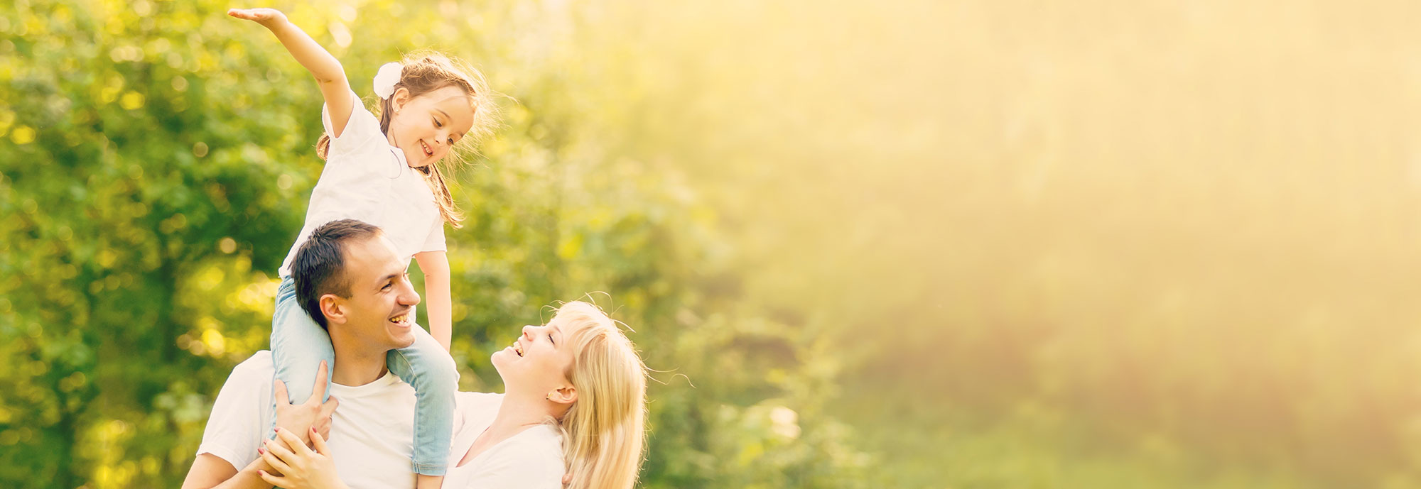 BFVB | Dank u voor uw gift